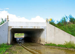 Livestock underpass | Westroads